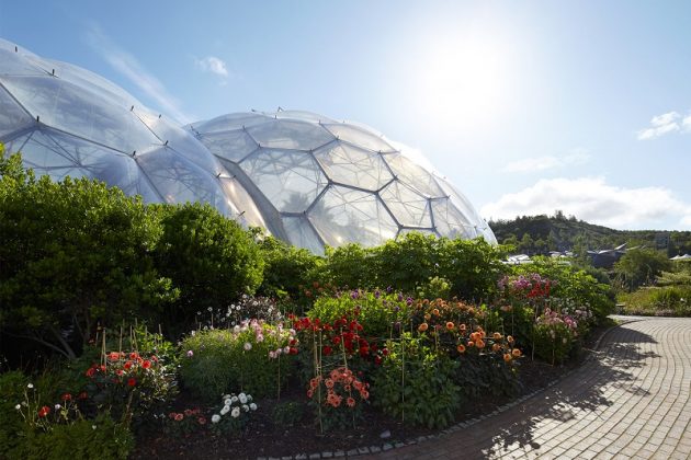 Top 10 Interesting Facts about the Eden Project