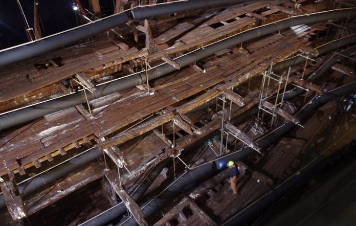 Top Interesting Facts About Mary Rose