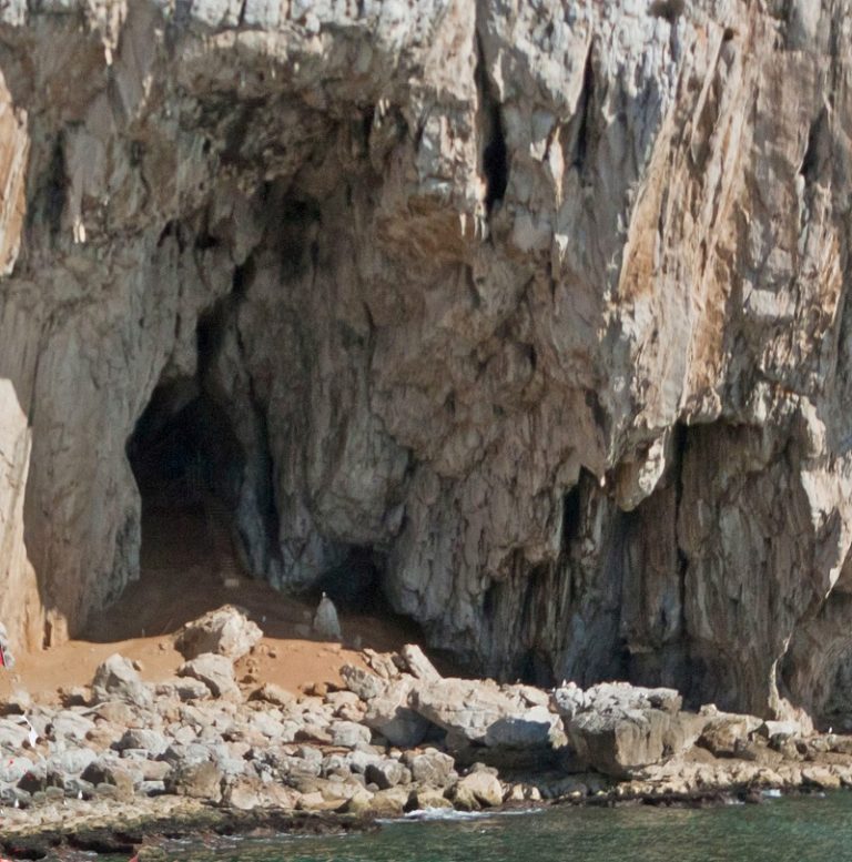 Top Interesting Facts about Gorham’s Cave Complex